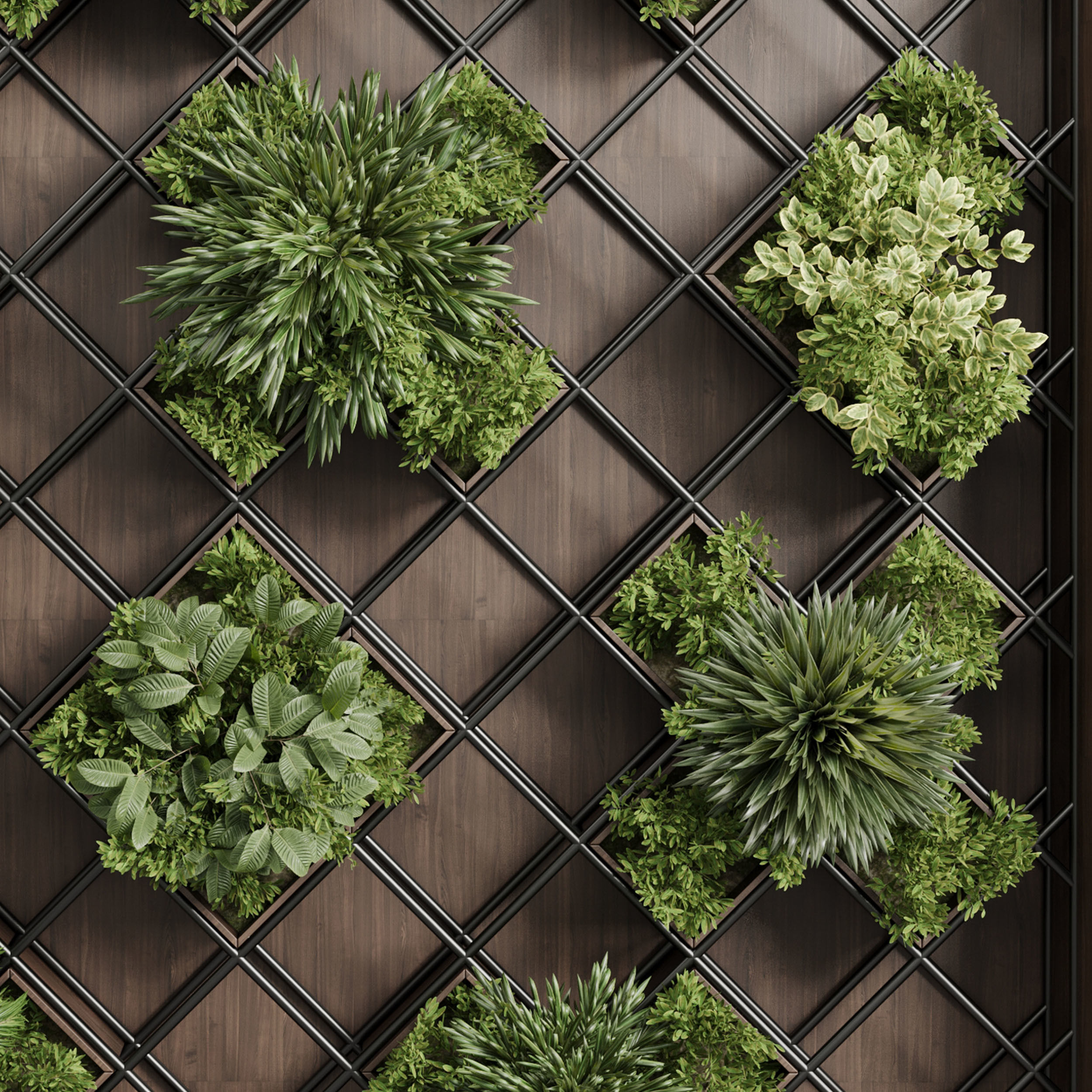 3D model plants set partition in wooden frame - Vertical graden VR / AR ...