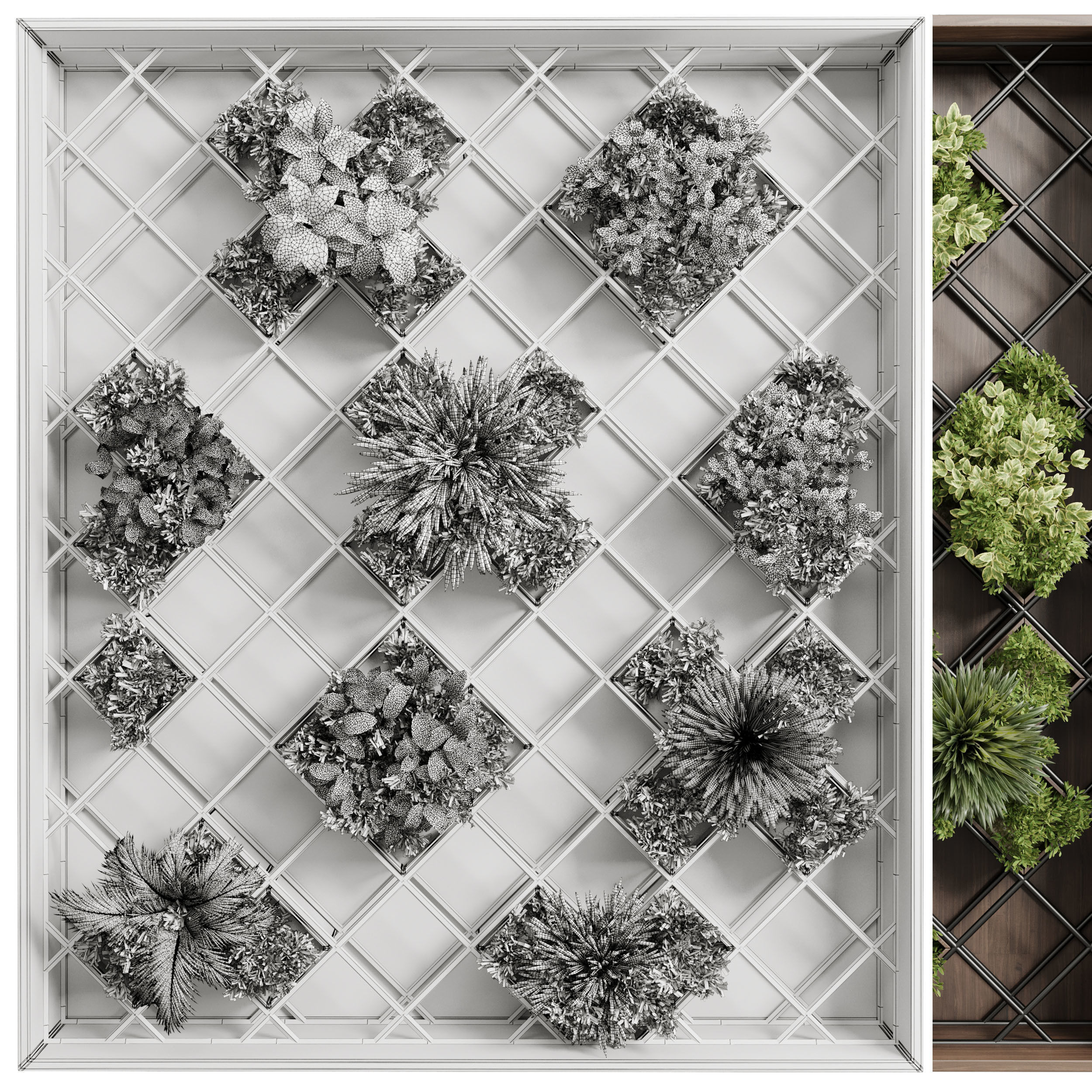 3D model plants set partition in wooden frame - Vertical graden VR / AR ...