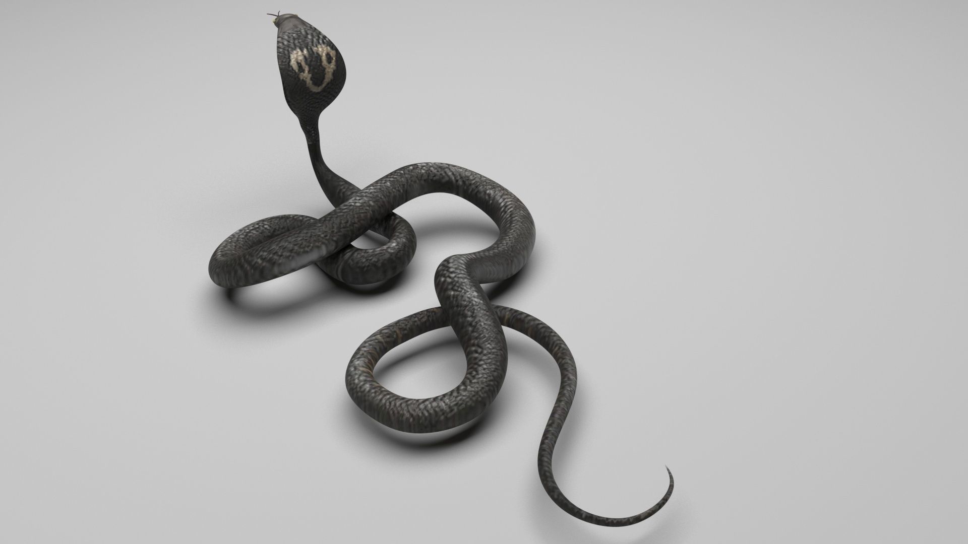 Cobra Snake 3D model | CGTrader