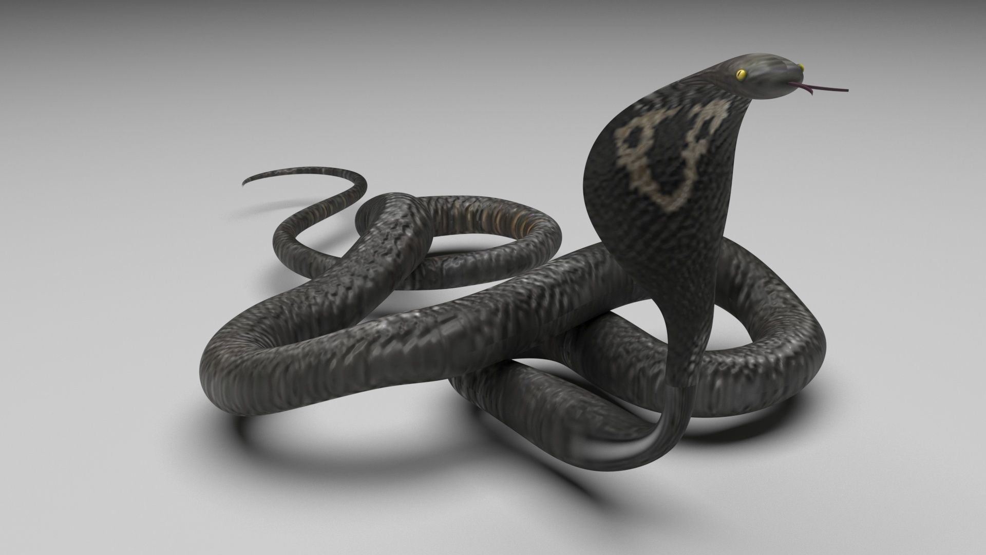 Cobra Snake 3D model | CGTrader