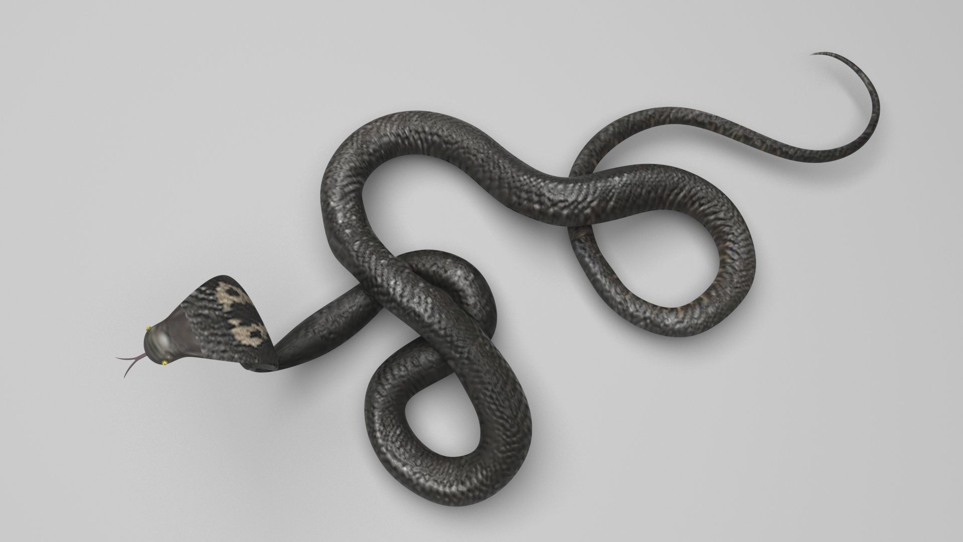Cobra Snake 3D model | CGTrader