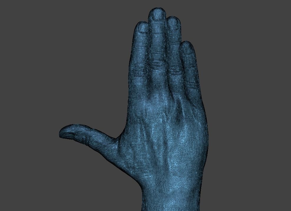 Hii greeting saluted hand 3D model 3D printable | CGTrader