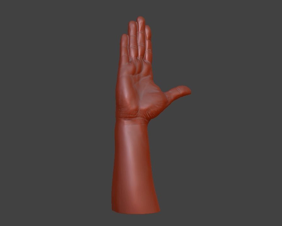 Hii greeting saluted hand 3D model 3D printable | CGTrader