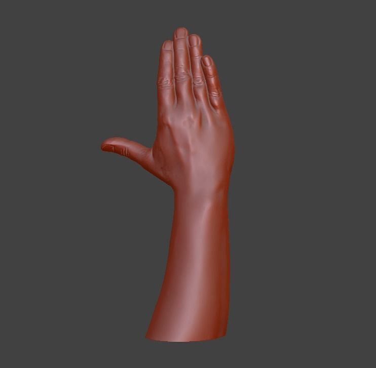 Hii greeting saluted hand 3D model 3D printable | CGTrader