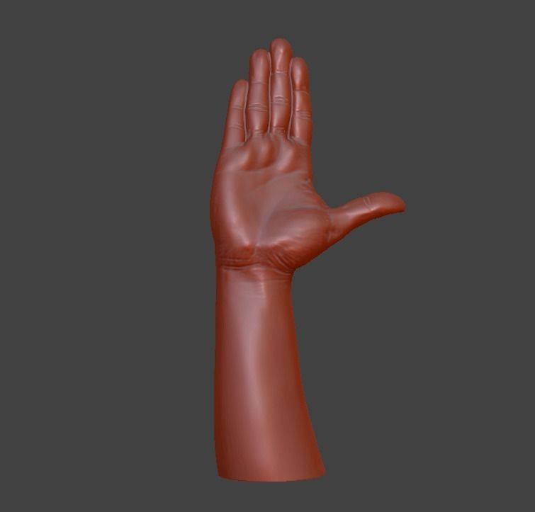 Hii greeting saluted hand 3D model 3D printable | CGTrader