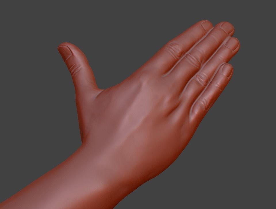 Hii greeting saluted hand 3D model 3D printable | CGTrader