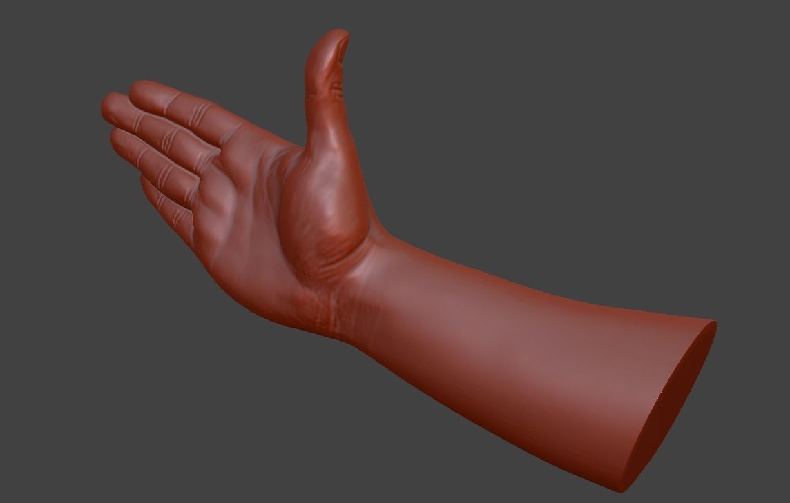 Hii greeting saluted hand 3D model 3D printable | CGTrader