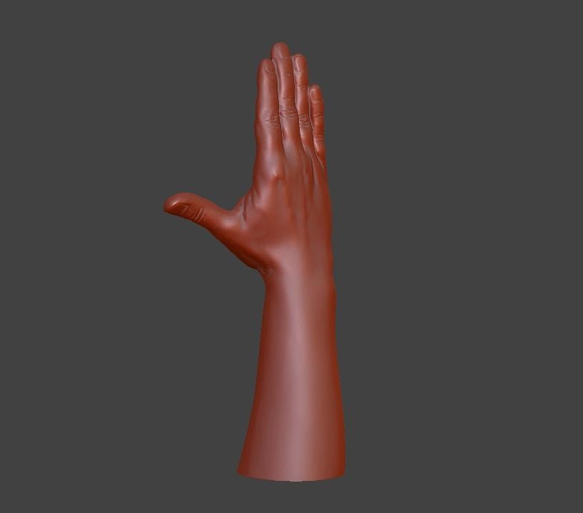 Hii greeting saluted hand 3D model 3D printable | CGTrader
