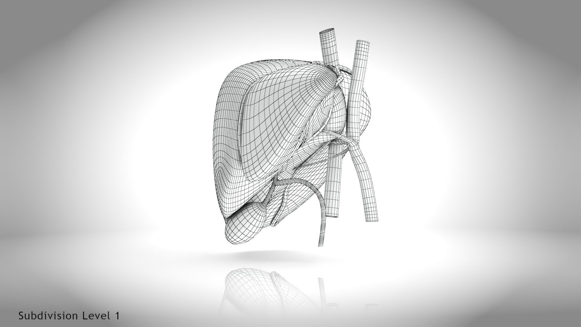 3D model Hepatocellular Carcinoma Liver VR / AR / low-poly | CGTrader