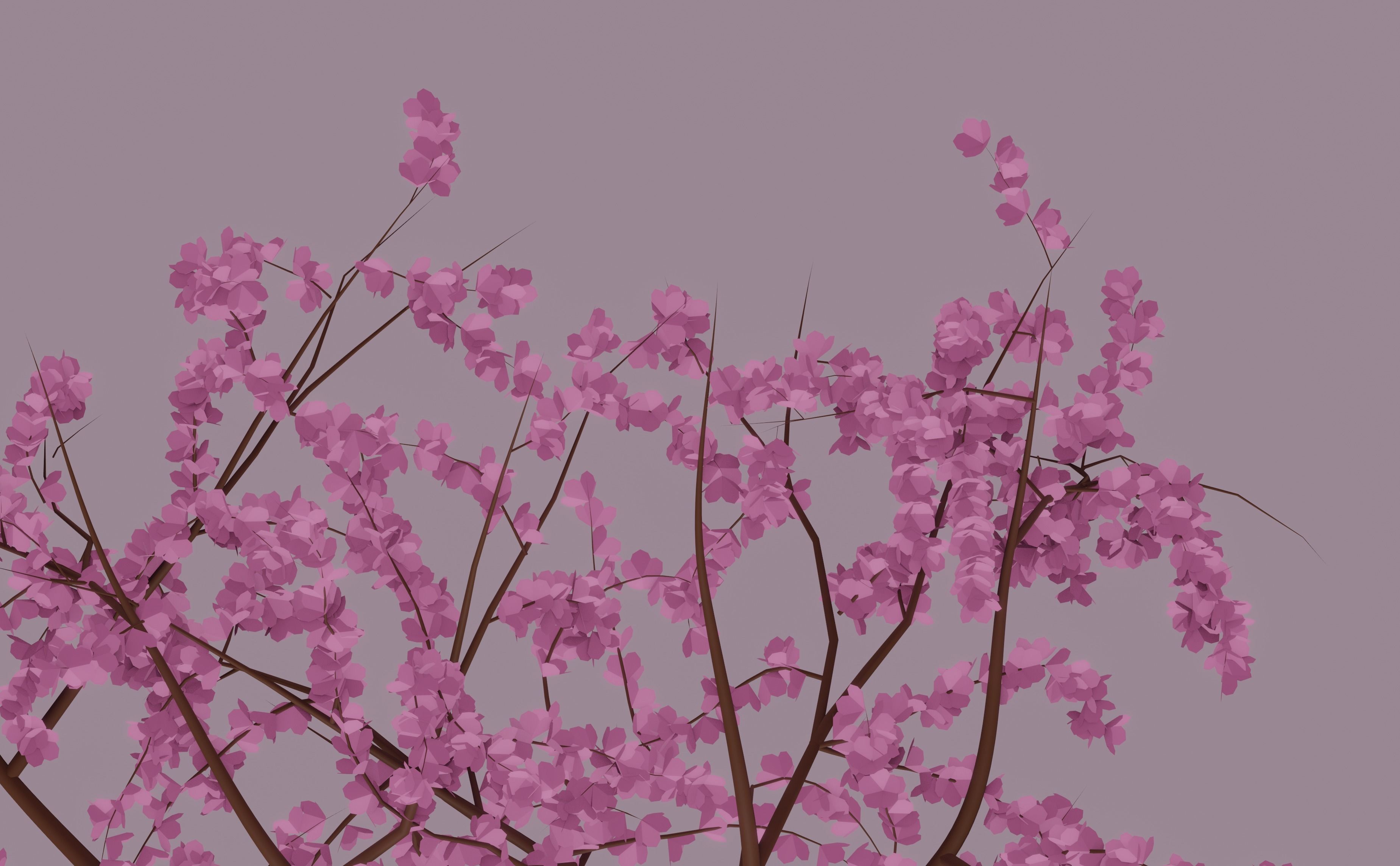 Blossom Tree 3D model rigged | CGTrader