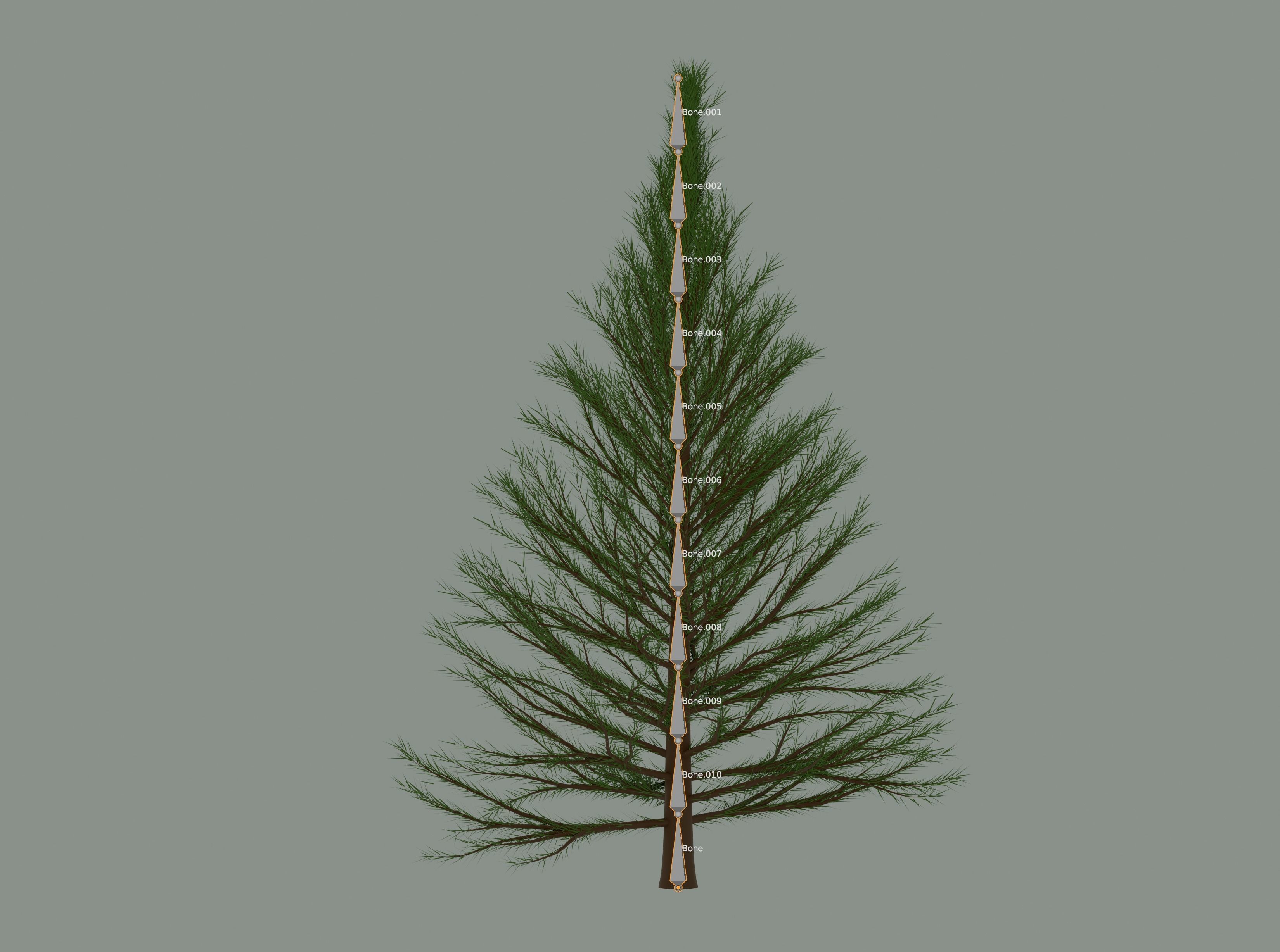 Pine Tree 3D model rigged | CGTrader