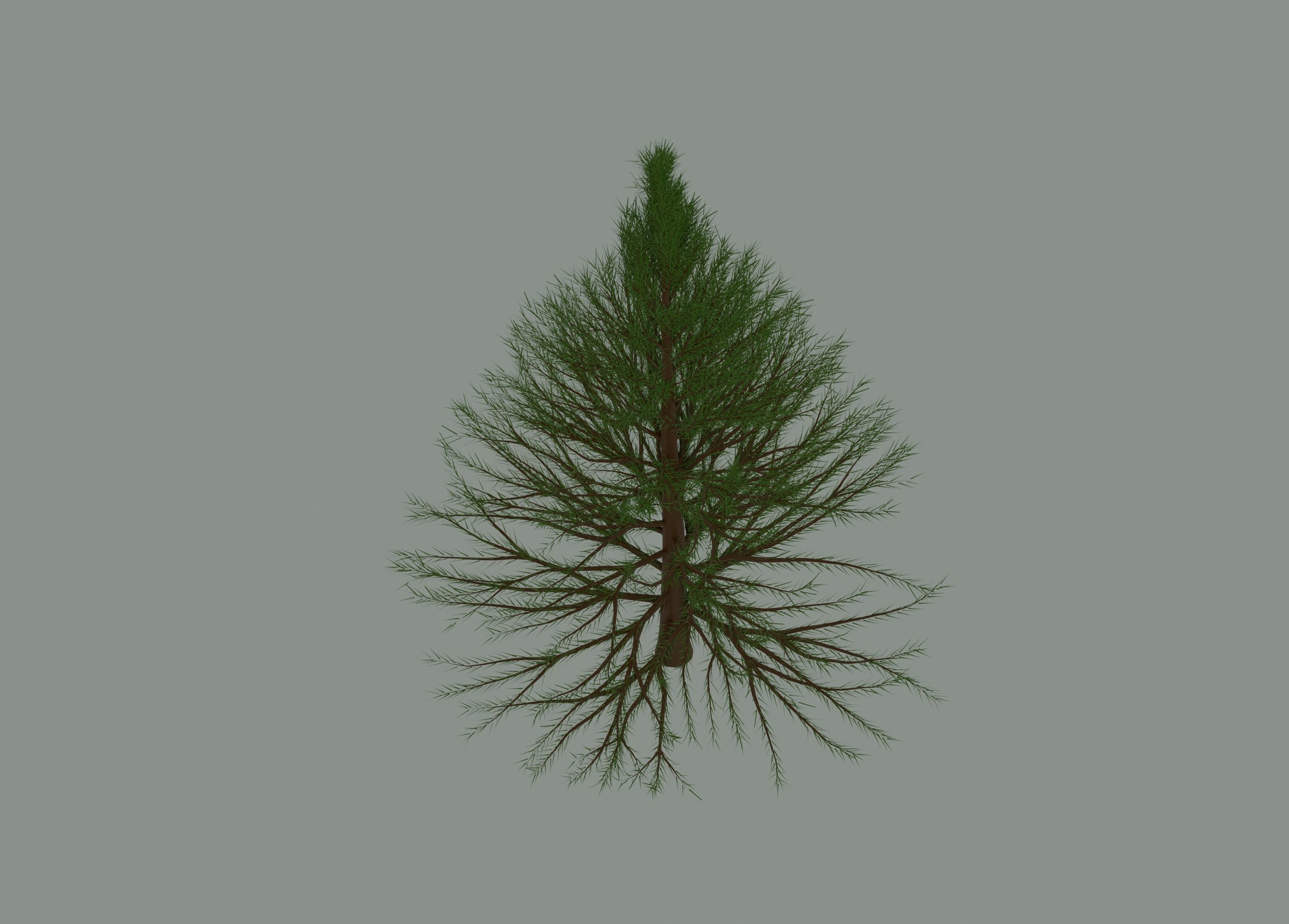 Pine Tree 3D model rigged | CGTrader