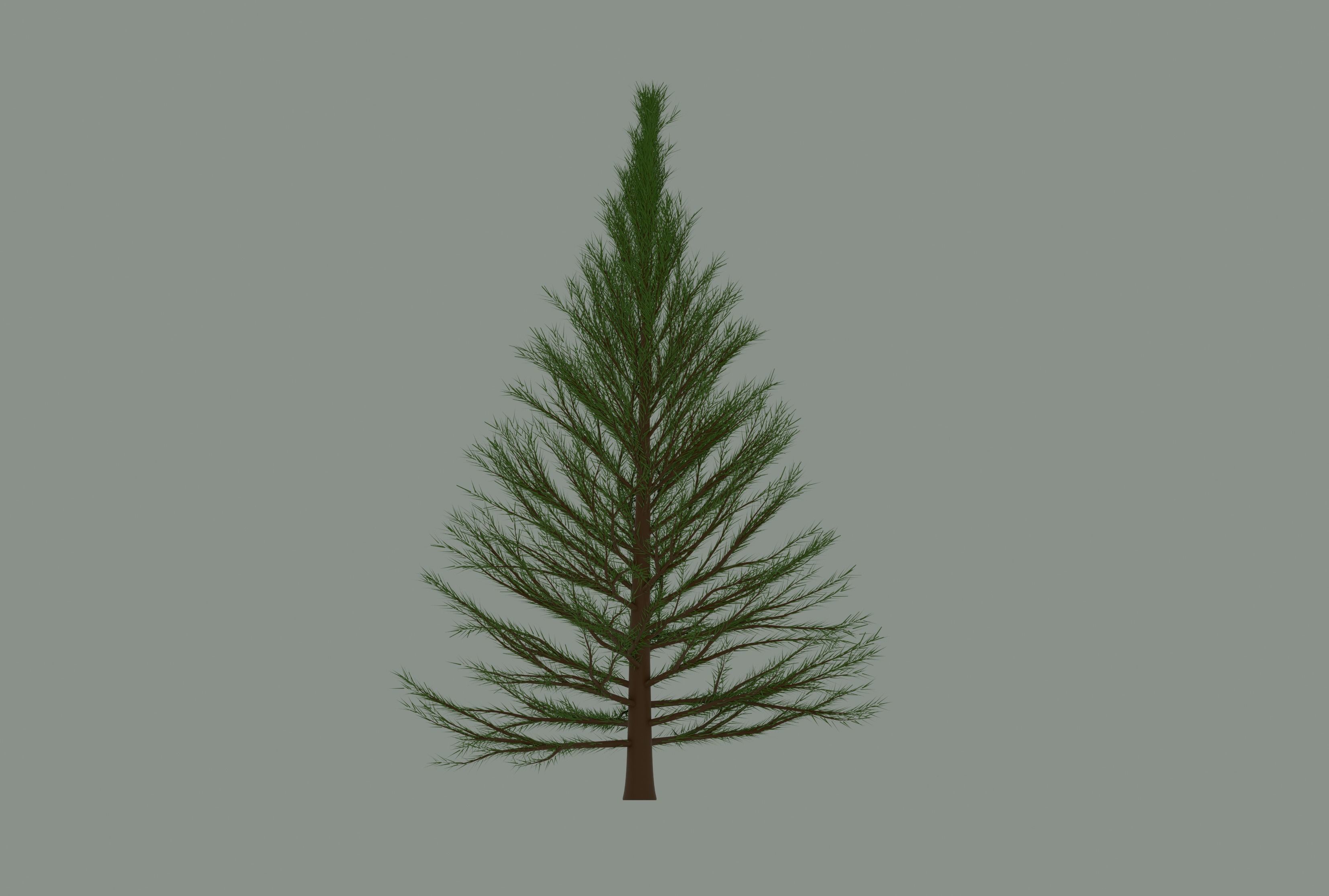 Pine Tree 3D model rigged | CGTrader