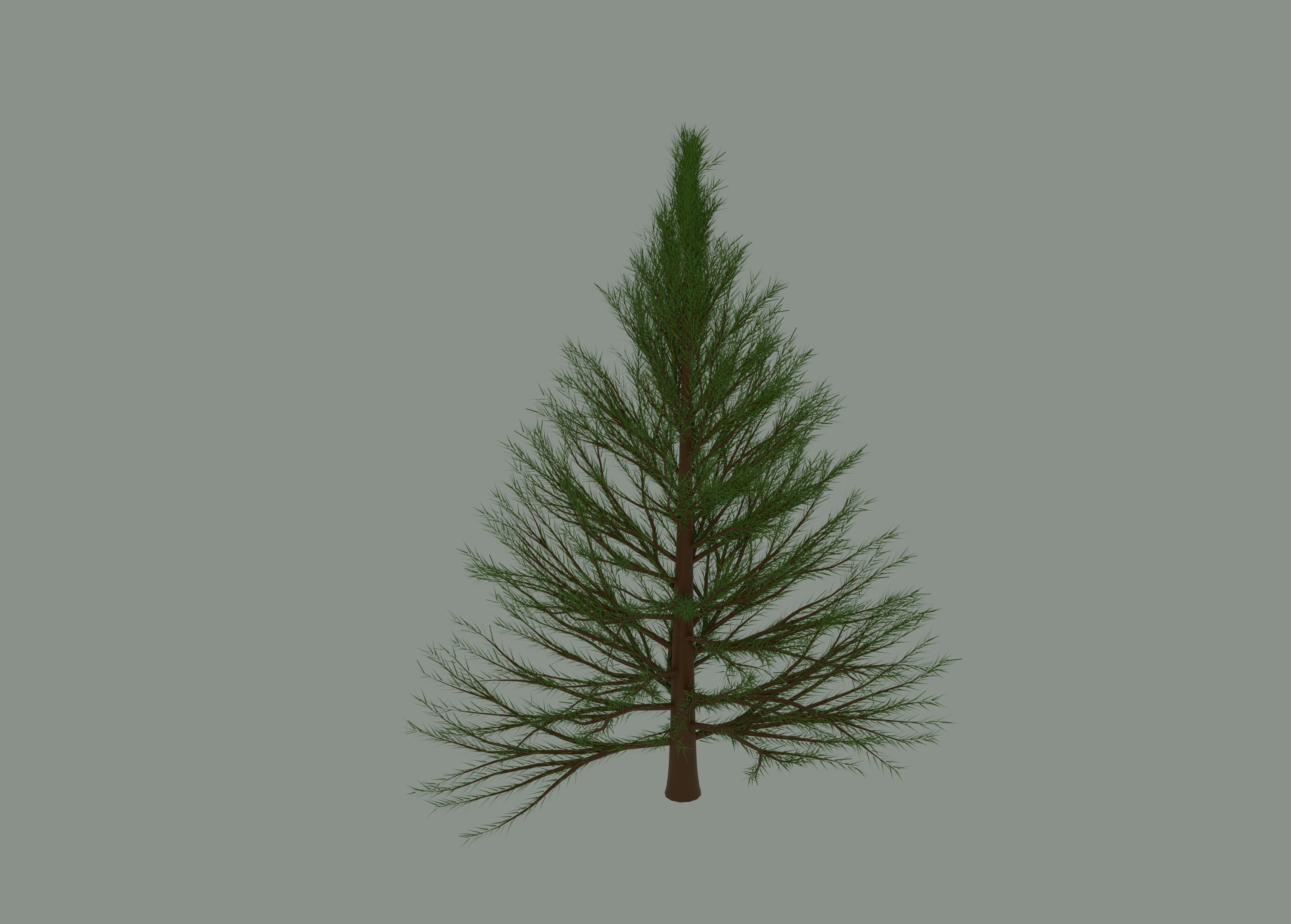 Pine Tree 3D model rigged | CGTrader