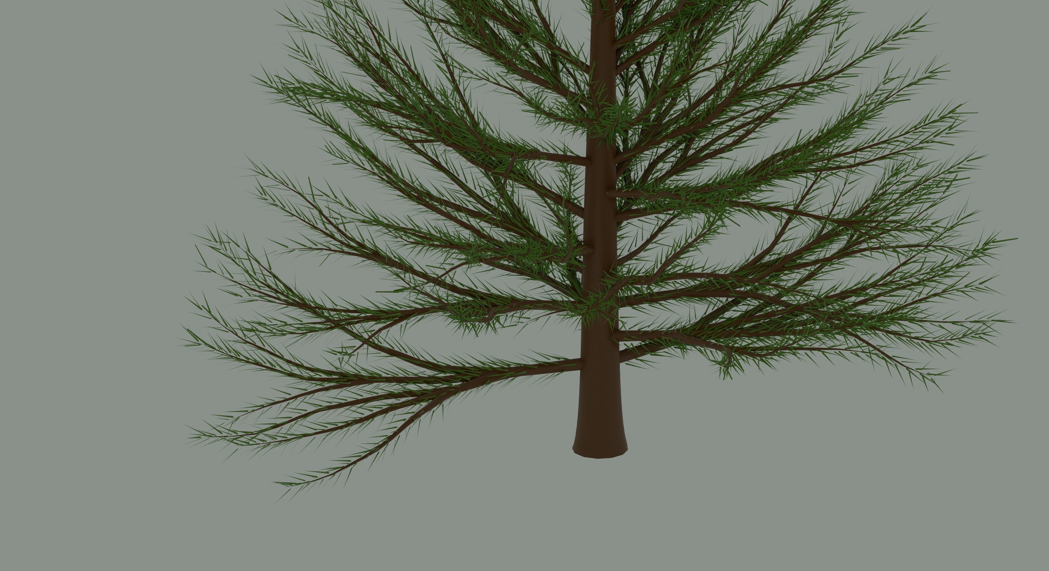 Pine Tree 3D model rigged | CGTrader