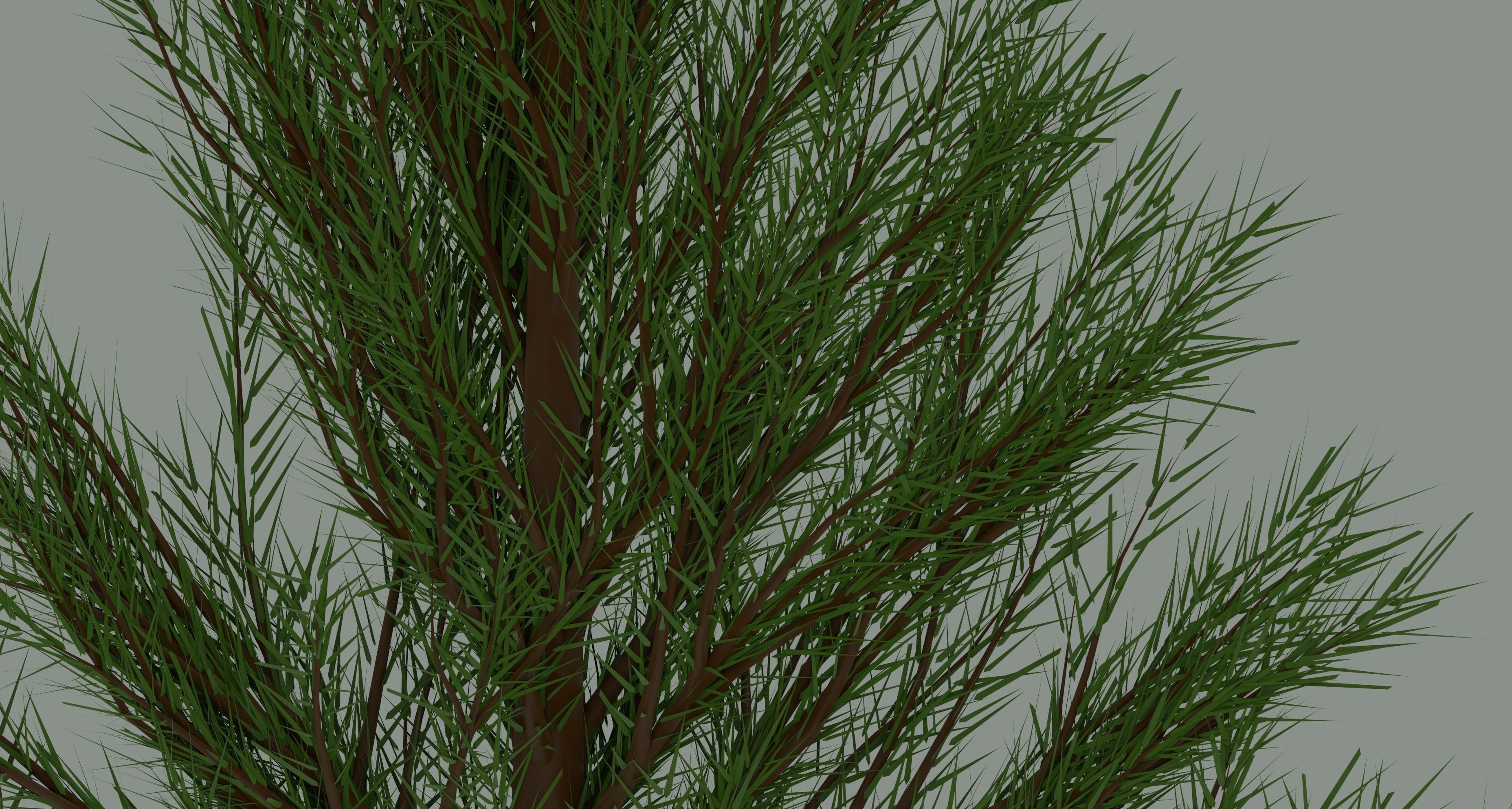 Pine Tree 3D model rigged | CGTrader
