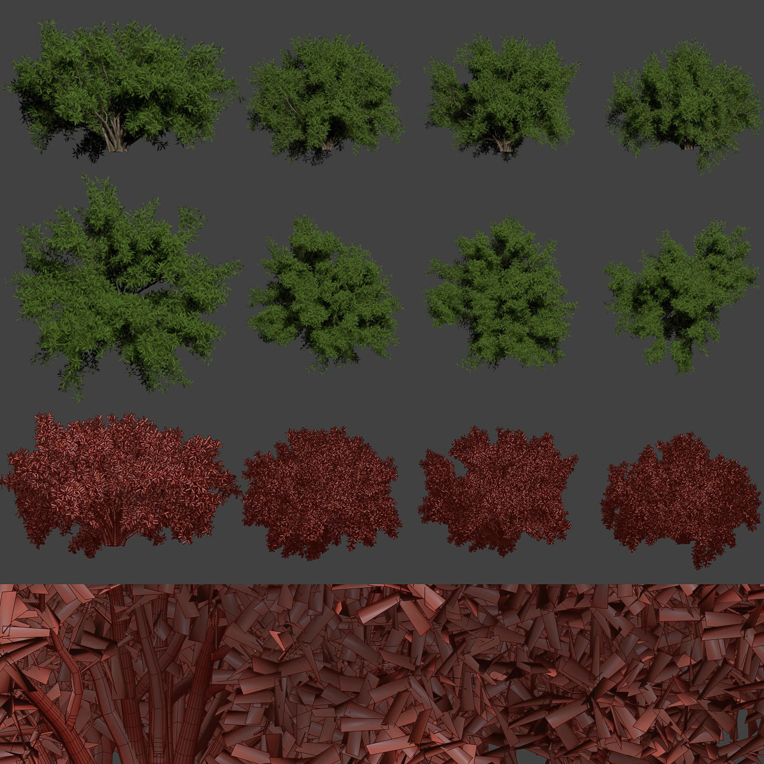 15 Bush models collection vol 15 | CGTrader