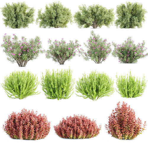 15 Bush models collection vol 15 | CGTrader