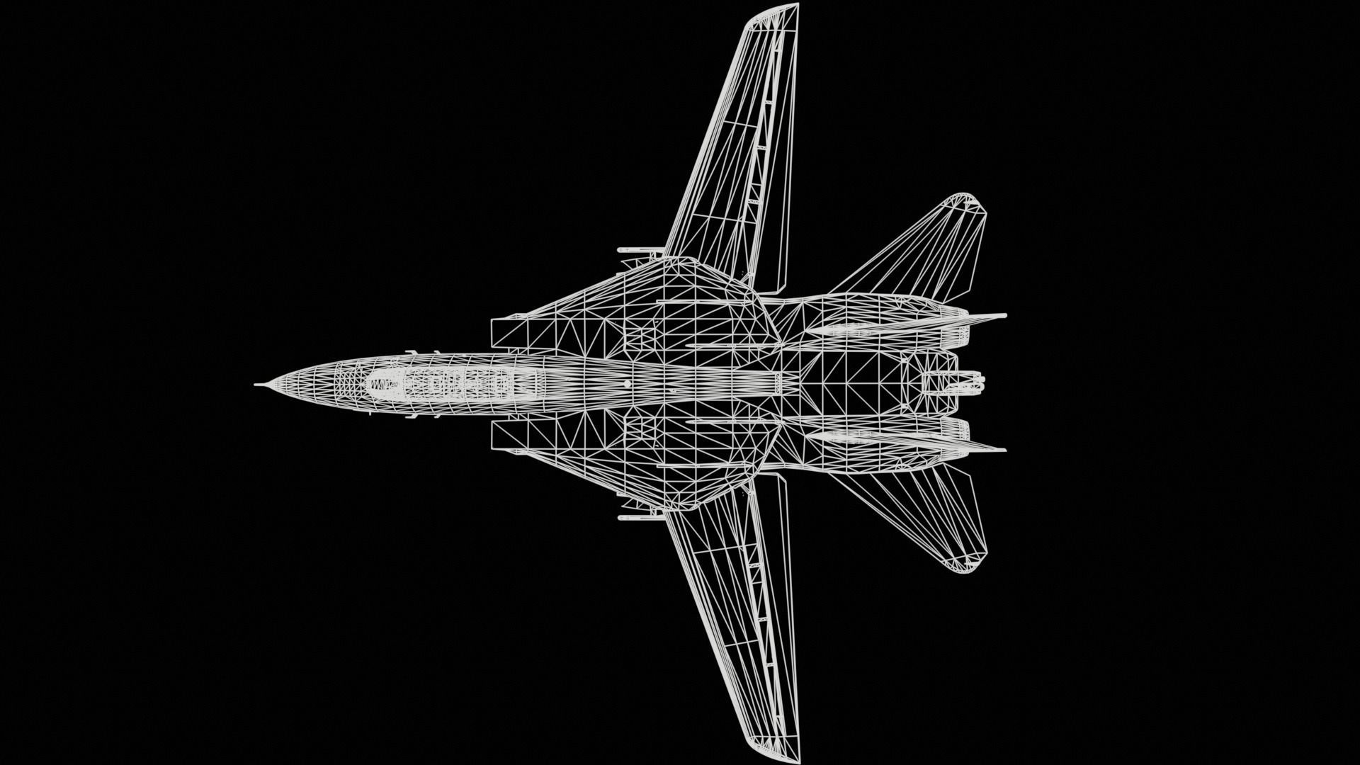 Grumman F-14 Tomcat 3D model | CGTrader