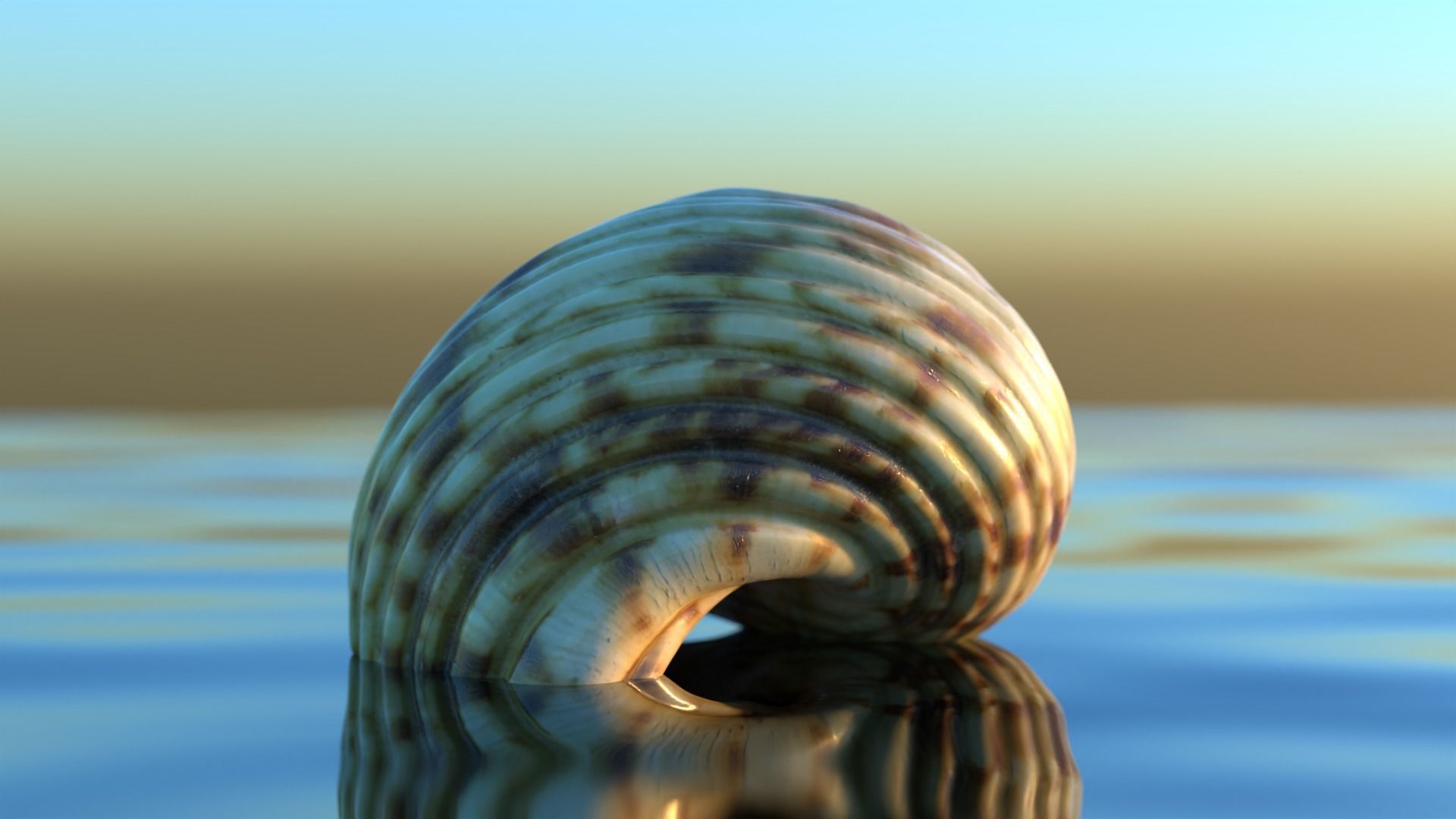 Green Seashell - High Quality Scan - 4K PBR Textures 3D model | CGTrader