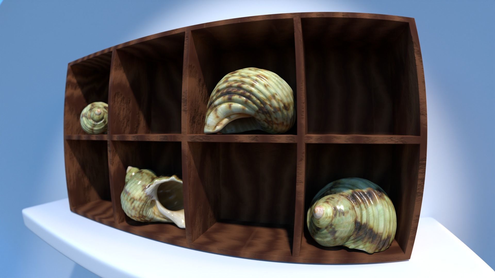 Green Seashell - High Quality Scan - 4K PBR Textures 3D model | CGTrader