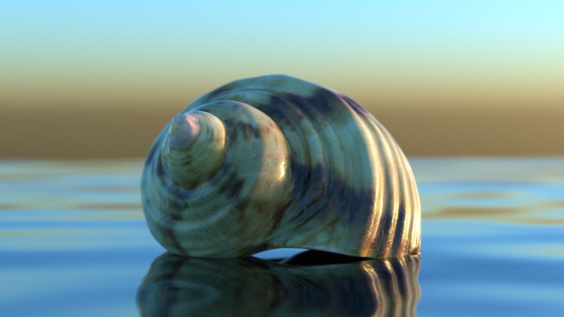 Green Seashell - High Quality Scan - 4K PBR Textures 3D model | CGTrader