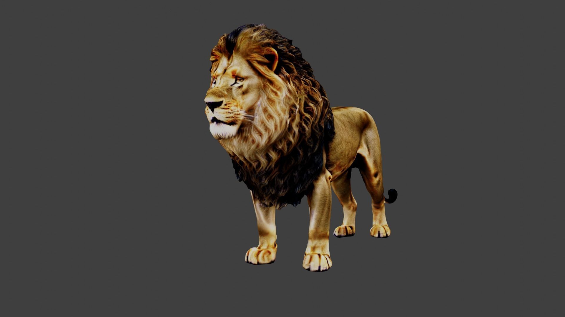 3D model Lion Animal VR / AR / low-poly | CGTrader