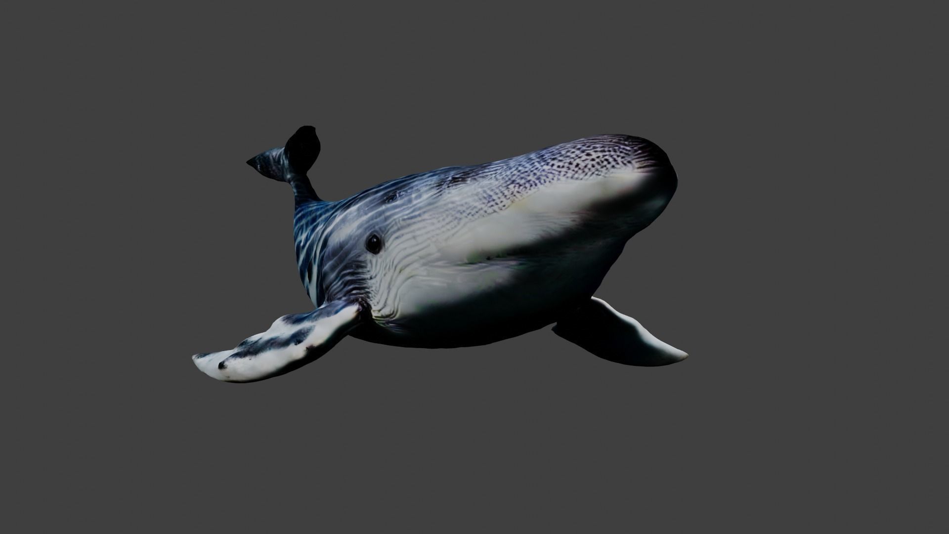 3D model Whale Animal VR / AR / low-poly | CGTrader