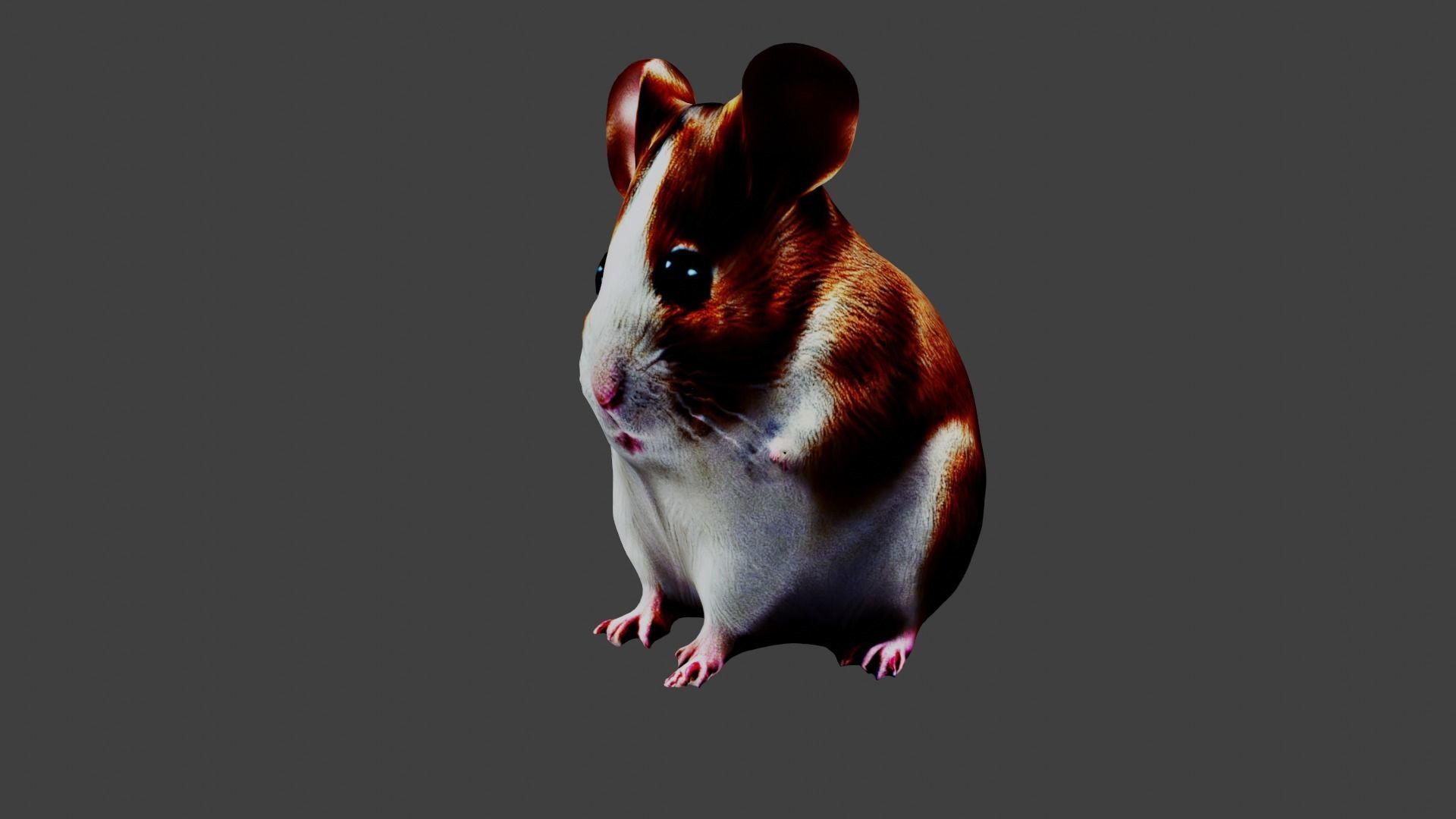 3D model Hamster Animal VR / AR / low-poly | CGTrader