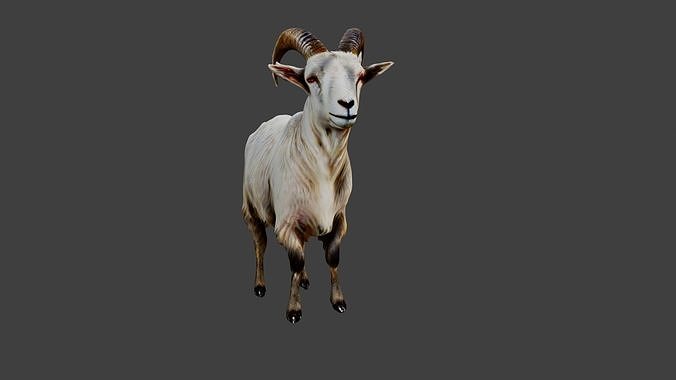 3D model Goat Animal VR / AR / low-poly | CGTrader