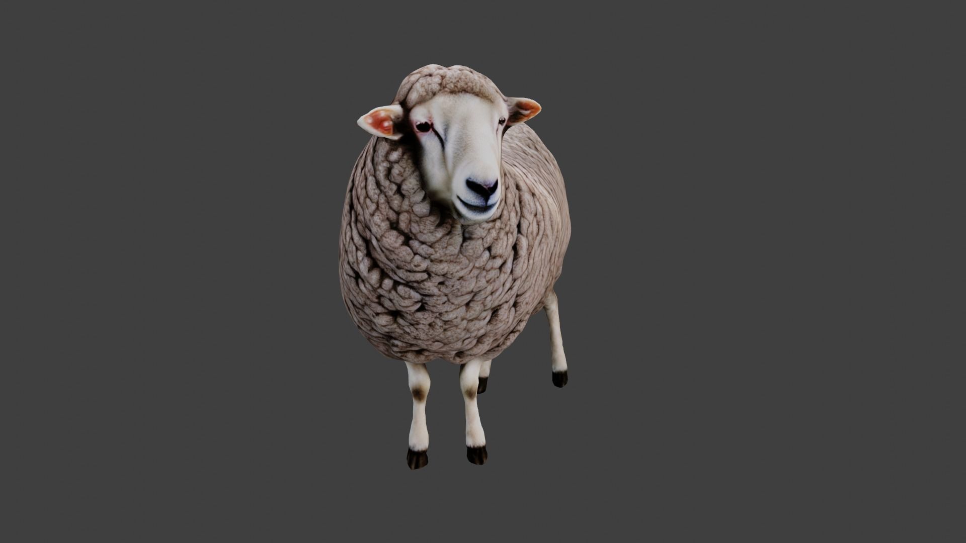 3D model Sheep VR / AR / low-poly | CGTrader