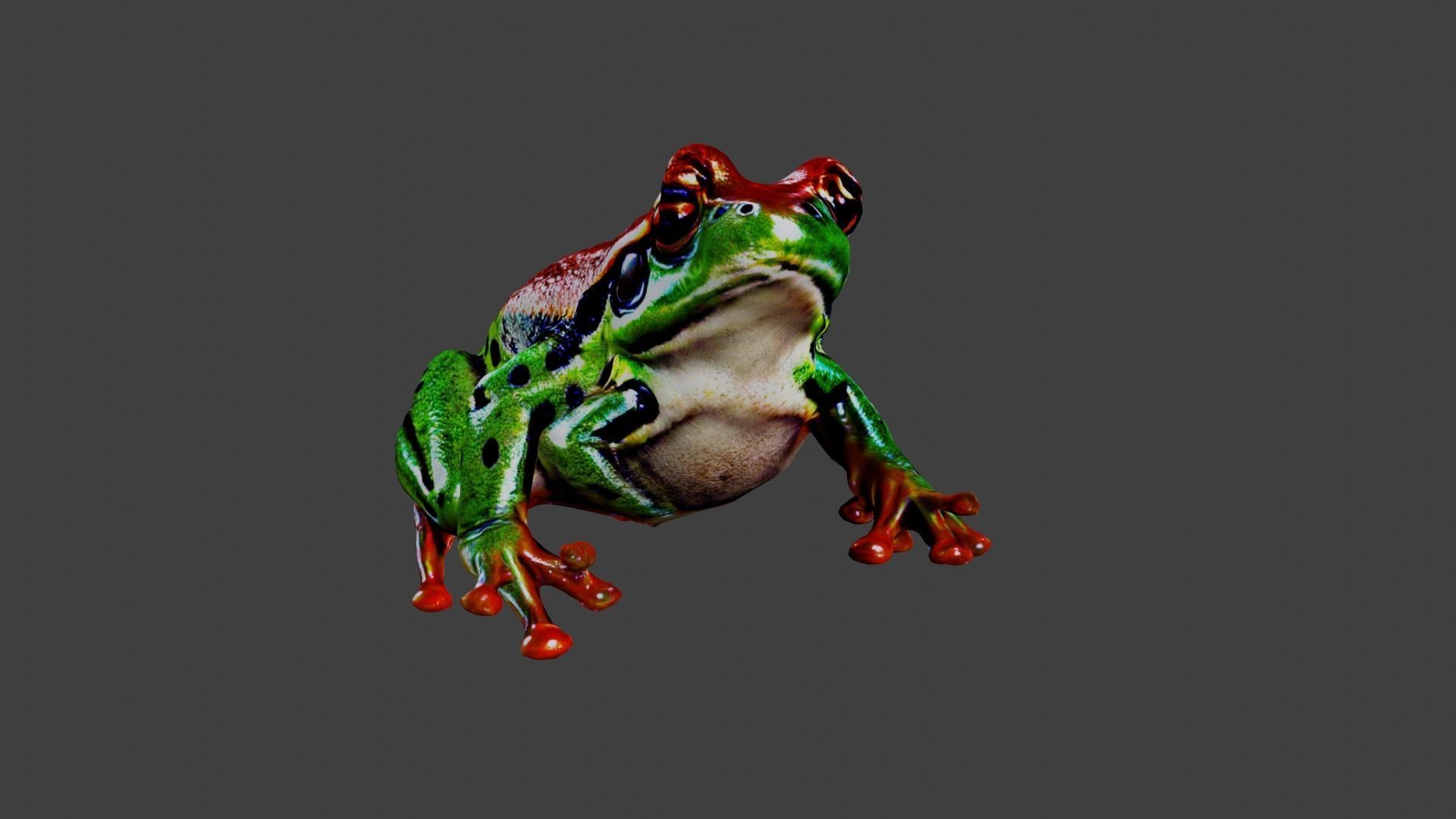 3D model Frog Animal VR / AR / low-poly | CGTrader
