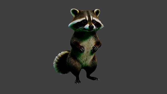 3D model Raccoon Animal VR / AR / low-poly | CGTrader