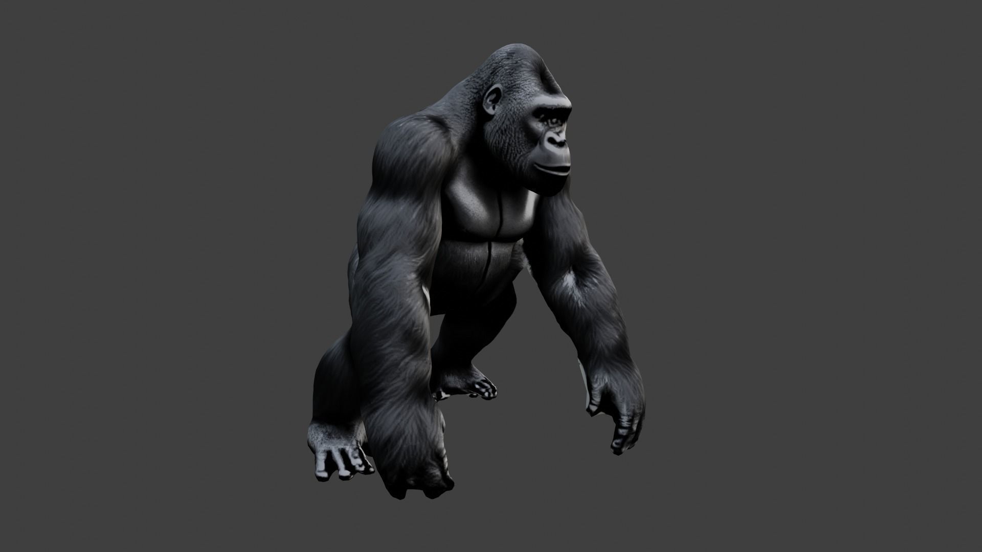 3D model Gorilla VR / AR / low-poly | CGTrader