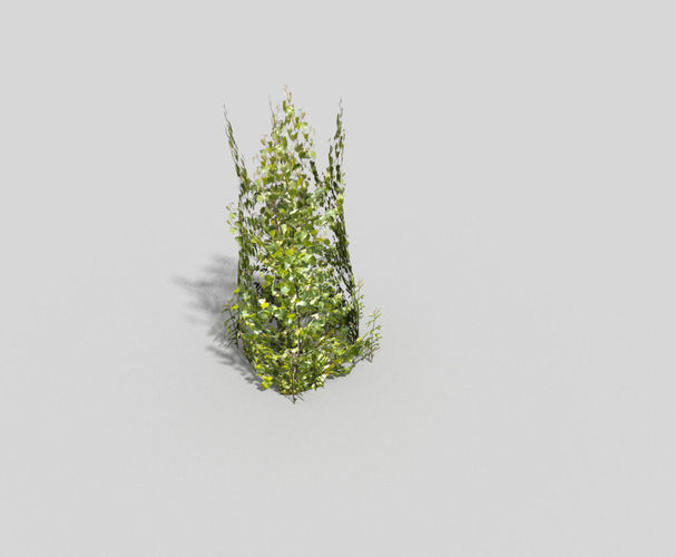 3D model low poly shrub VR / AR / low-poly | CGTrader