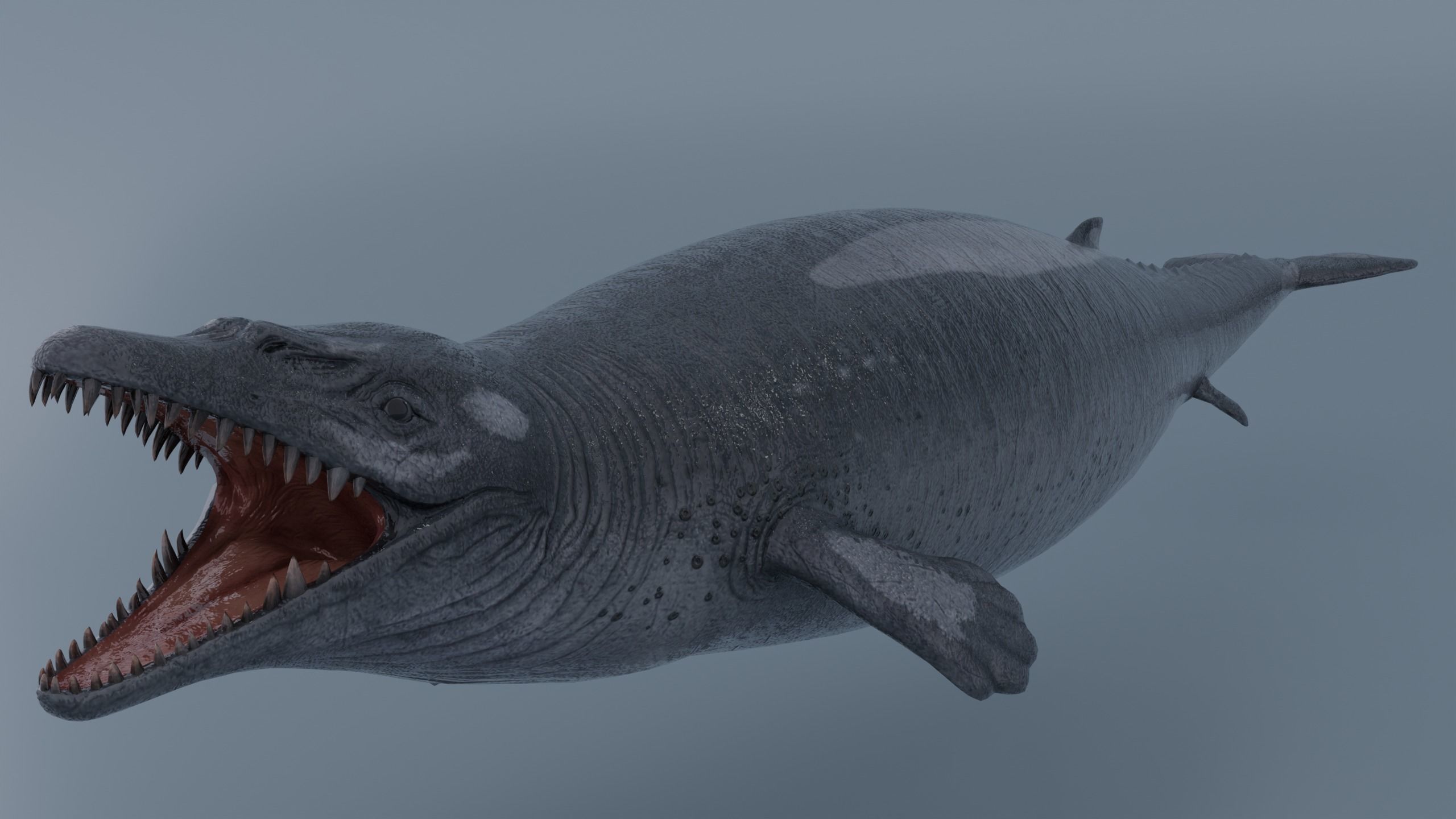 3D model Basilosaurus VR / AR / low-poly | CGTrader