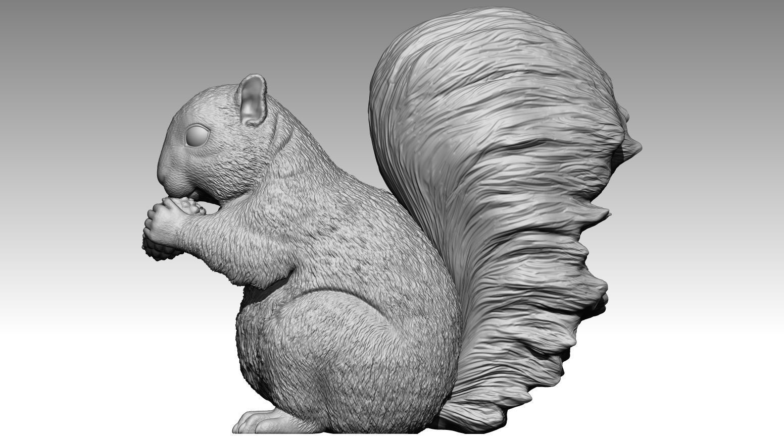 squirrel 3D model 3D printable | CGTrader