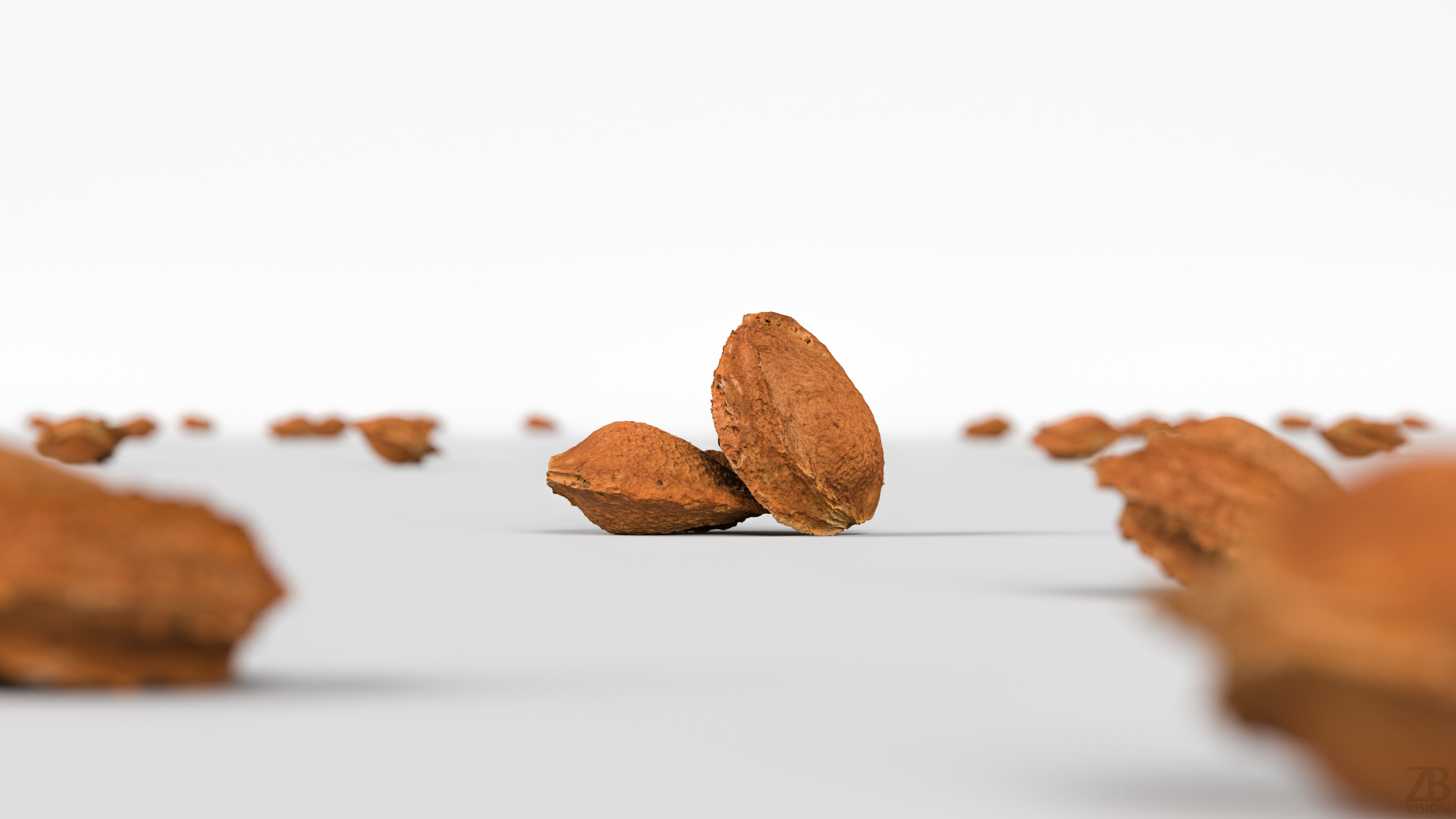 Apricot Pit 002 3D model | CGTrader