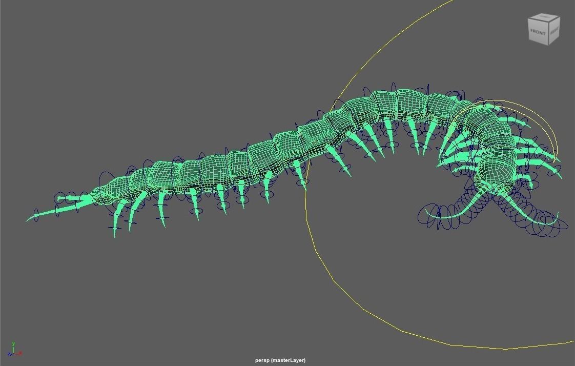 3D model Centipede VR / AR / low-poly | CGTrader