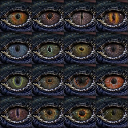 Creature Eyes Vol 11 - PBR Texture | CGTrader