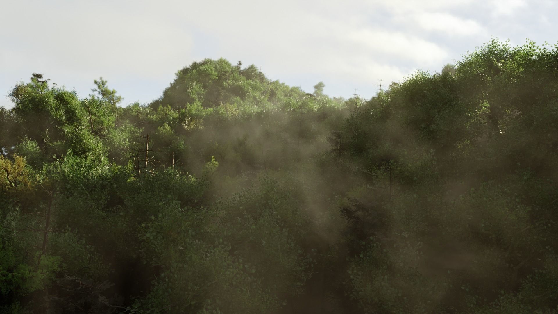 Forest 3D model animated | CGTrader