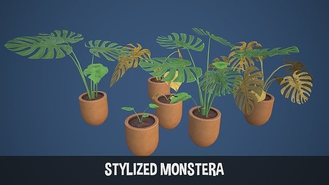 3D model Stylized Monstera Swiss Cheese Plant VR / AR / low-poly | CGTrader