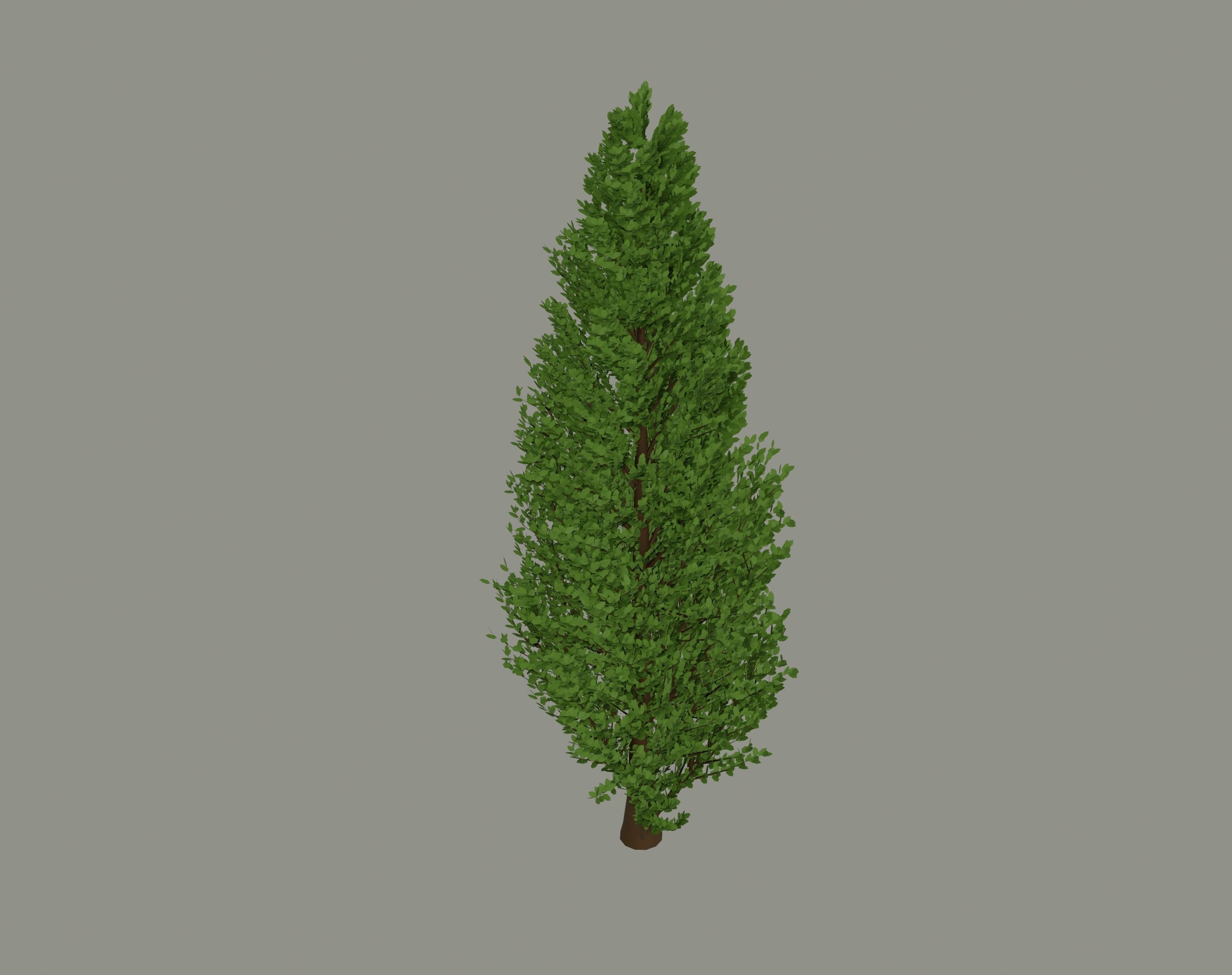 Tall Tree 3D model rigged | CGTrader