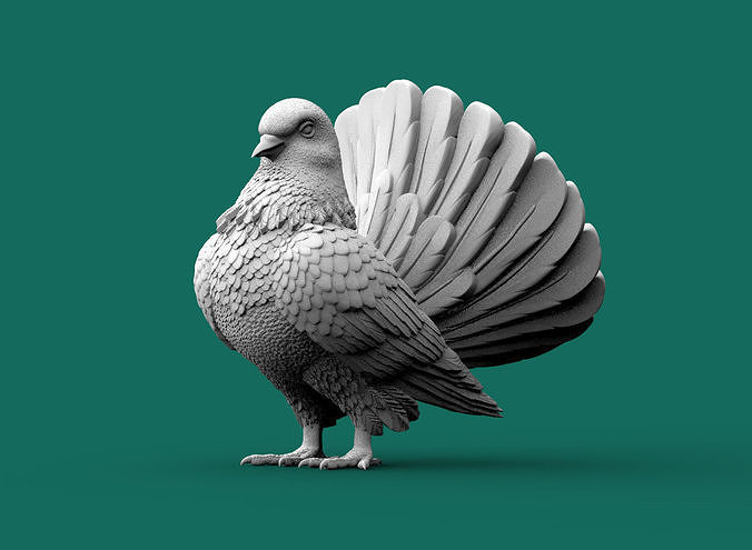 PIGEON 3D model 3D printable | CGTrader