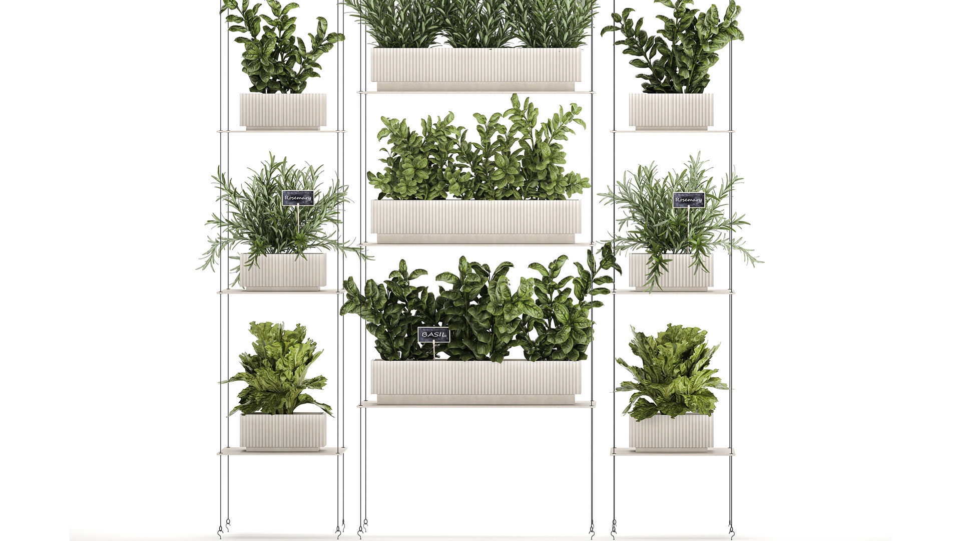 Kitchen mini vegetable garden set Basil Lettuce Rosemary 1412 3D model ...