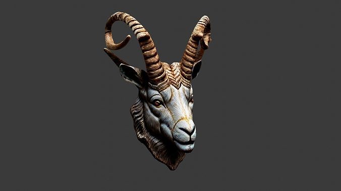 3D model Animal Head VR / AR / low-poly | CGTrader
