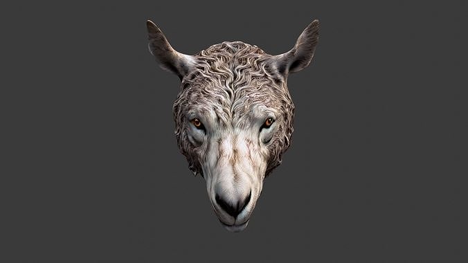 3D model Animal Head VR / AR / low-poly | CGTrader