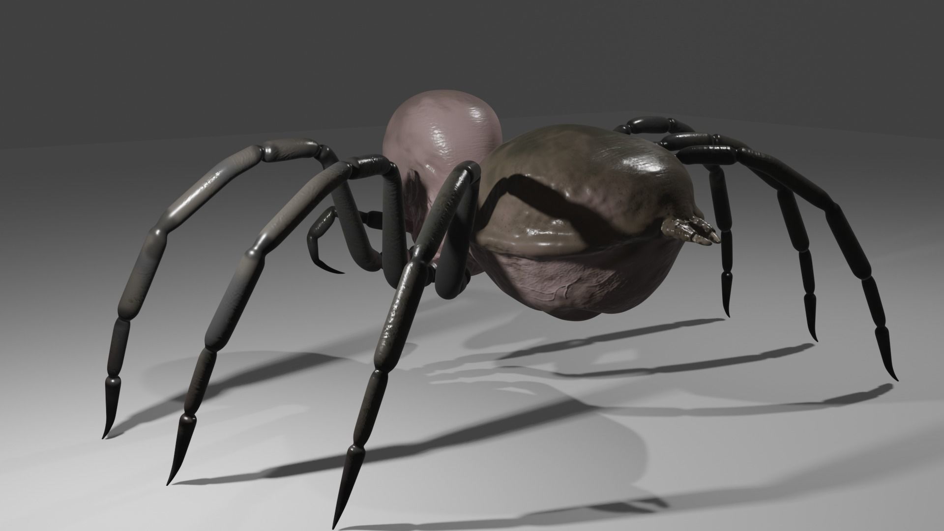 monster-spider head free VR / AR / low-poly 3D model animated rigged ...