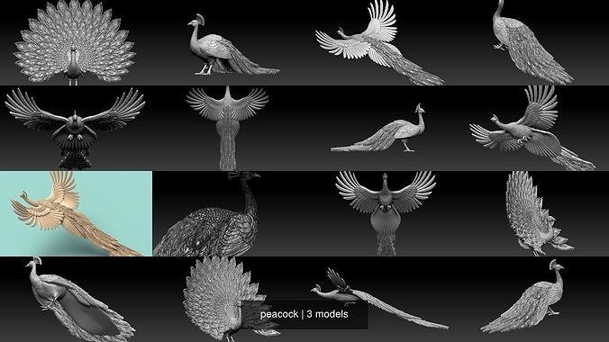peacock 3D Model Collection 3D printable | CGTrader
