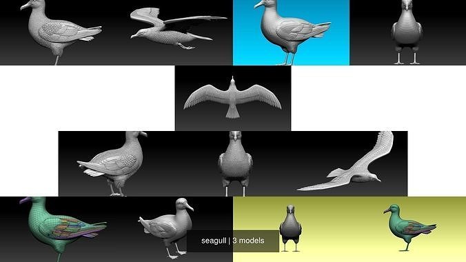 seagull 3D Model Collection 3D printable | CGTrader